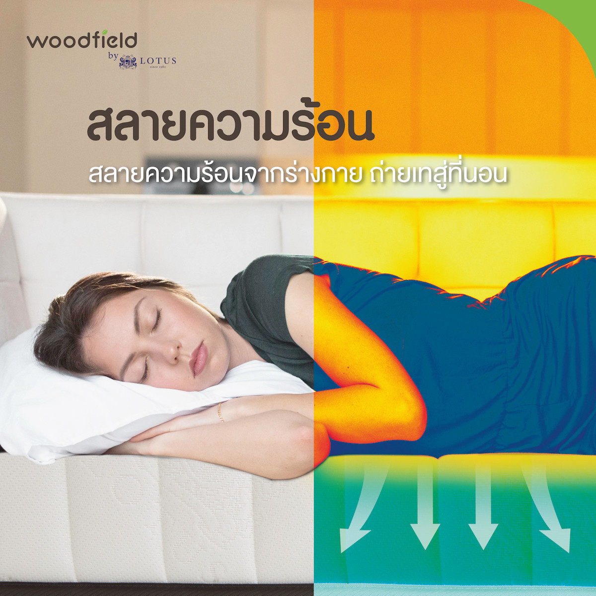 ที่นอน Woodfield รุ่น E-HYBRID S | Woodfield ประเทศไทย